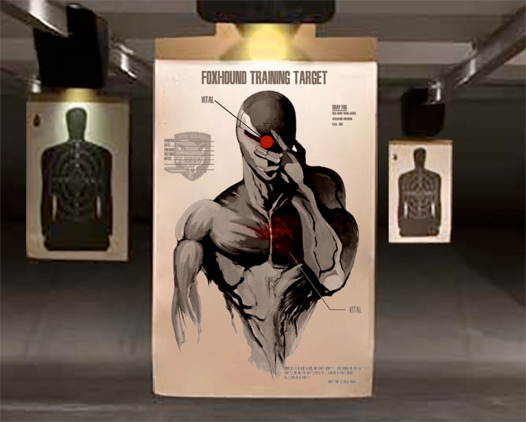 Gray Fox Target Practice - Print - Etsy