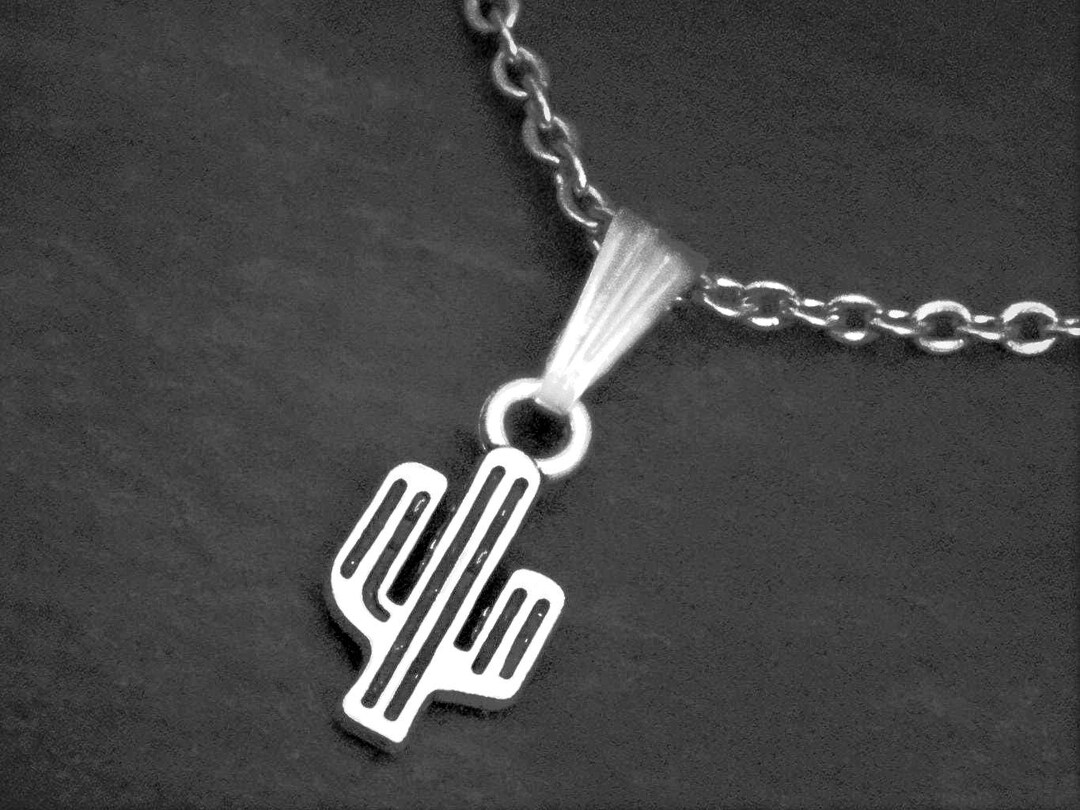 Cactus Pendant Necklace, Cacti Jewellery, Cord or Chain, - Etsy