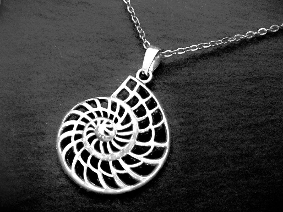 Nautilus Shell Spiral Necklace, Fibonacci Jewellery, Cord or Chain - Etsy
