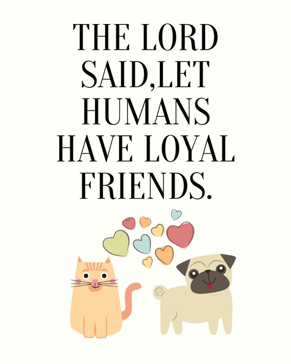Cute Animal Friend Quotes