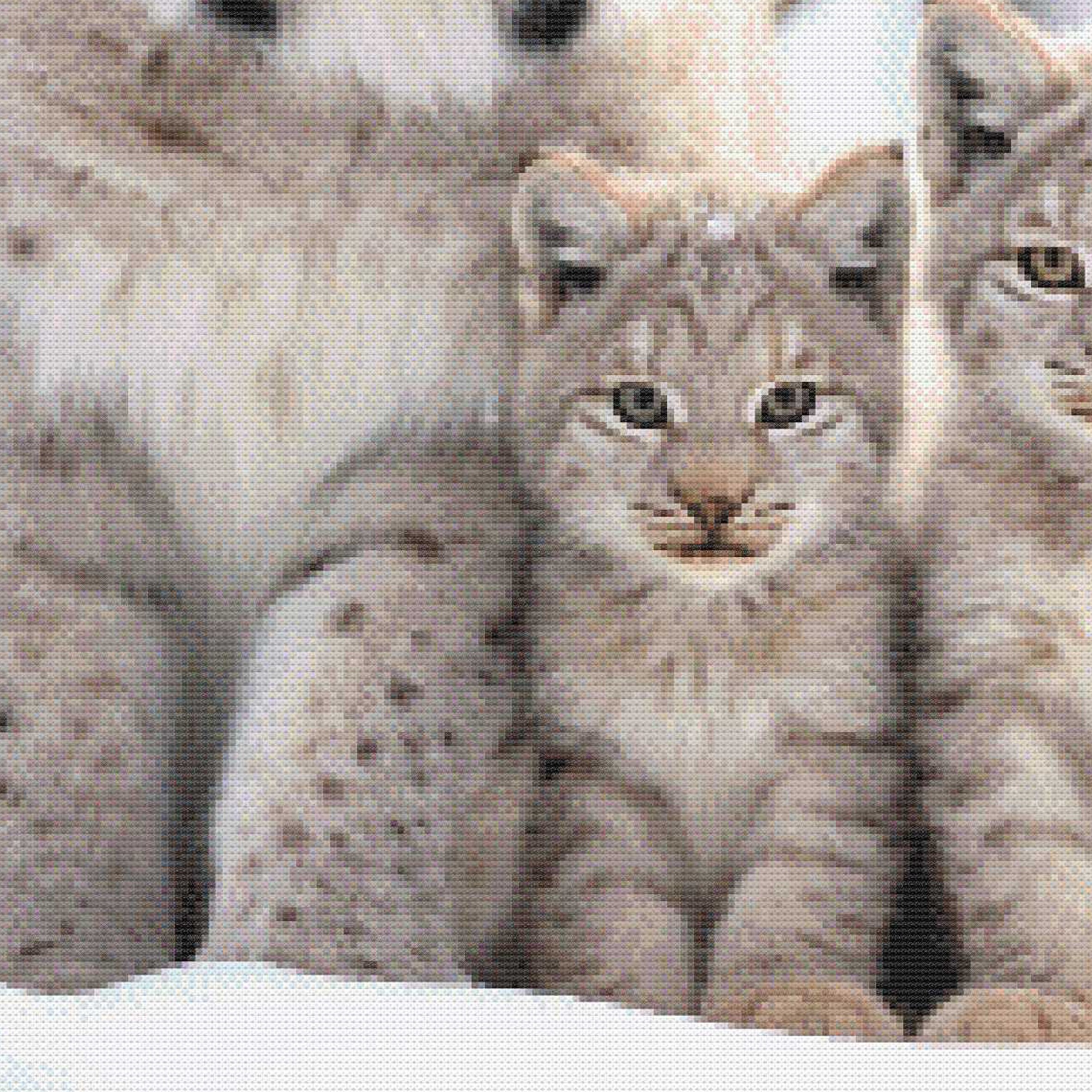 Cross Stitch Feline, Cross Stitch Lynxes, Cats to Embroider, Wild to ...