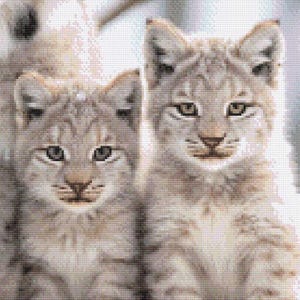 Cross Stitch Feline, Cross Stitch Lynxes, Cats Pattern, Wild Cross ...
