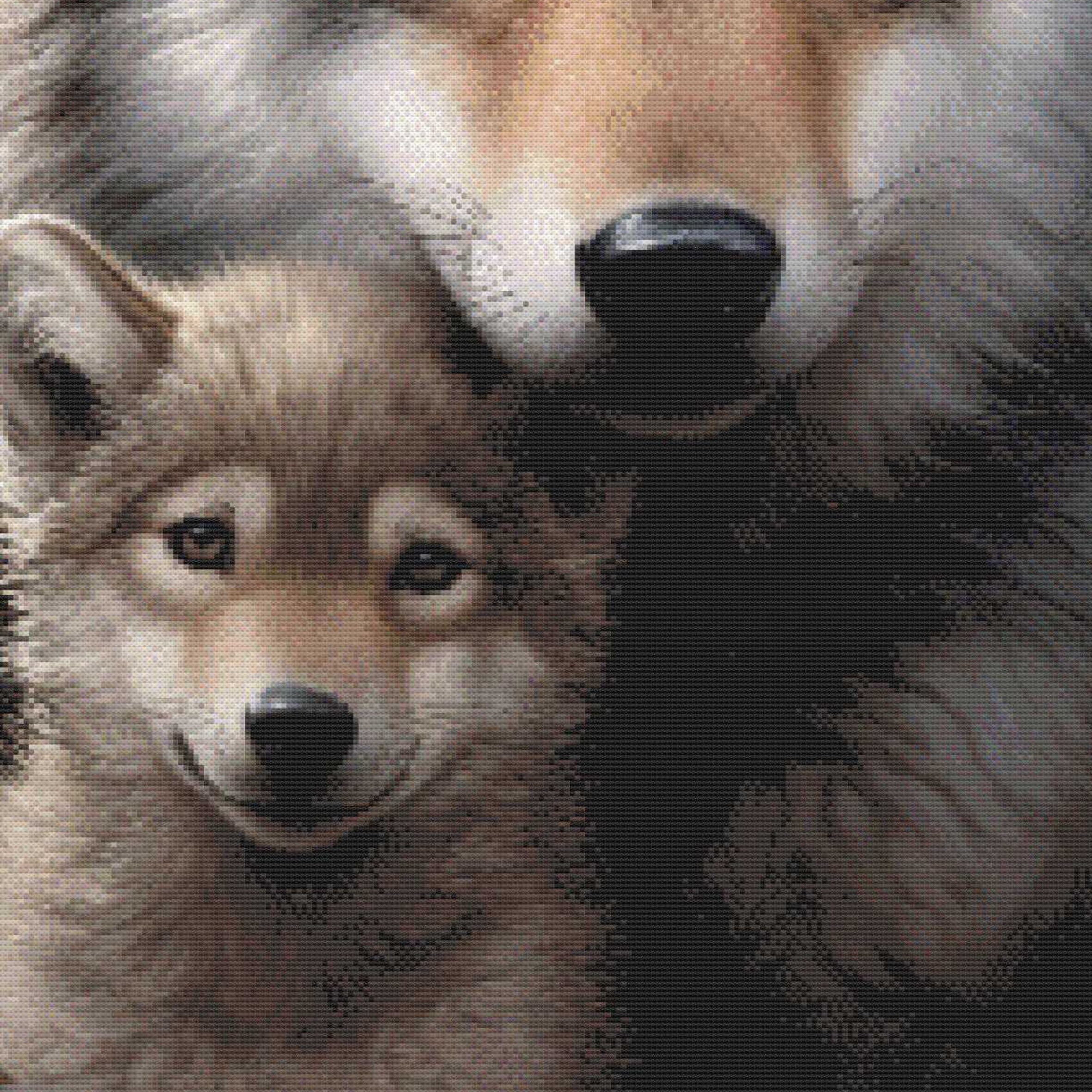 Wolf Cross Stitch, Wolves Cross Stitch, Cat to Embroider, Wild to ...