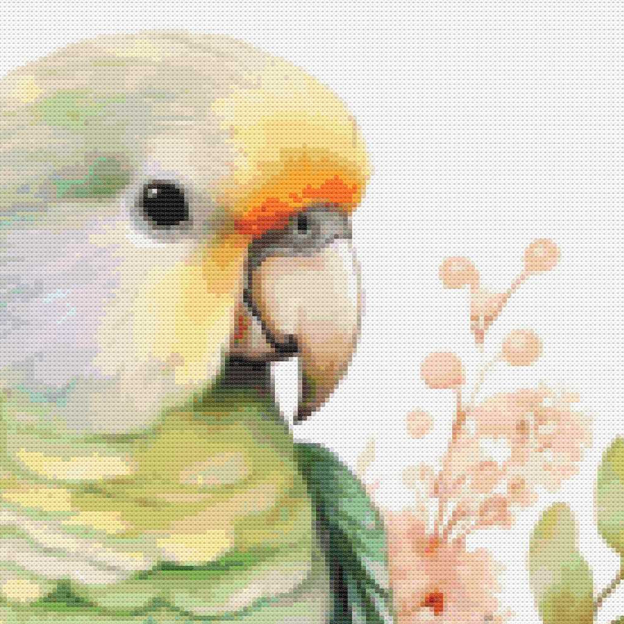 Cross Stitch Bird, Cross Stitch Parrot, Embroidery Owl, Embroidery Bird ...