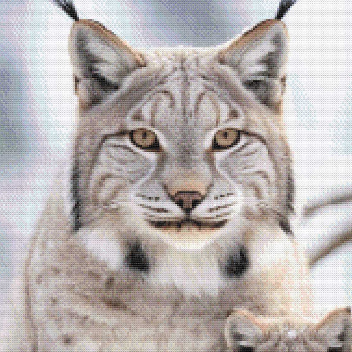 Cross Stitch Feline, Cross Stitch Lynxes, Cats to Embroider, Wild to Embroider, Lynx Cross ...