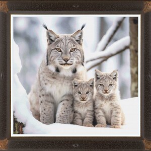 Cross Stitch Feline, Cross Stitch Lynxes, Cats to Embroider, Wild to ...