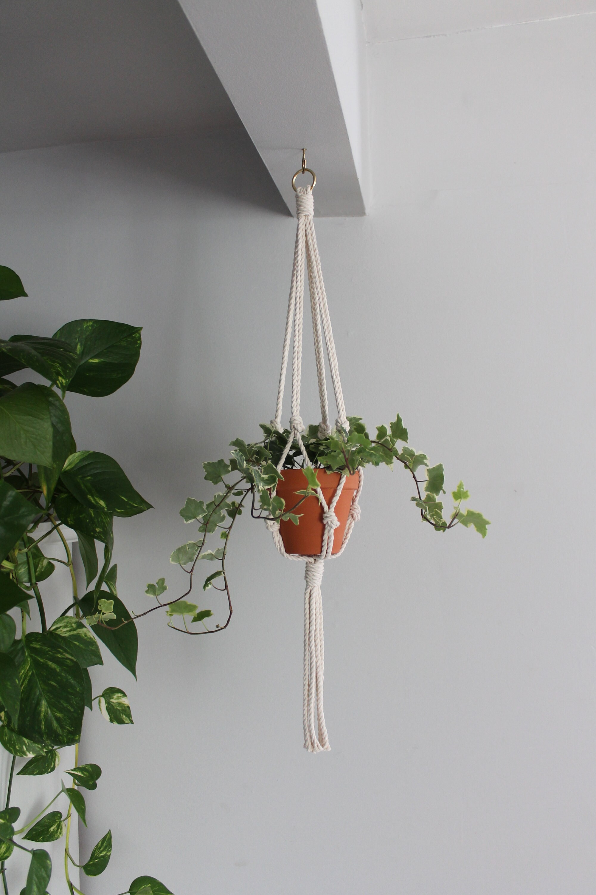 Macrame Ring 1.5 Real Brass Gold Plant Hanger - Etsy