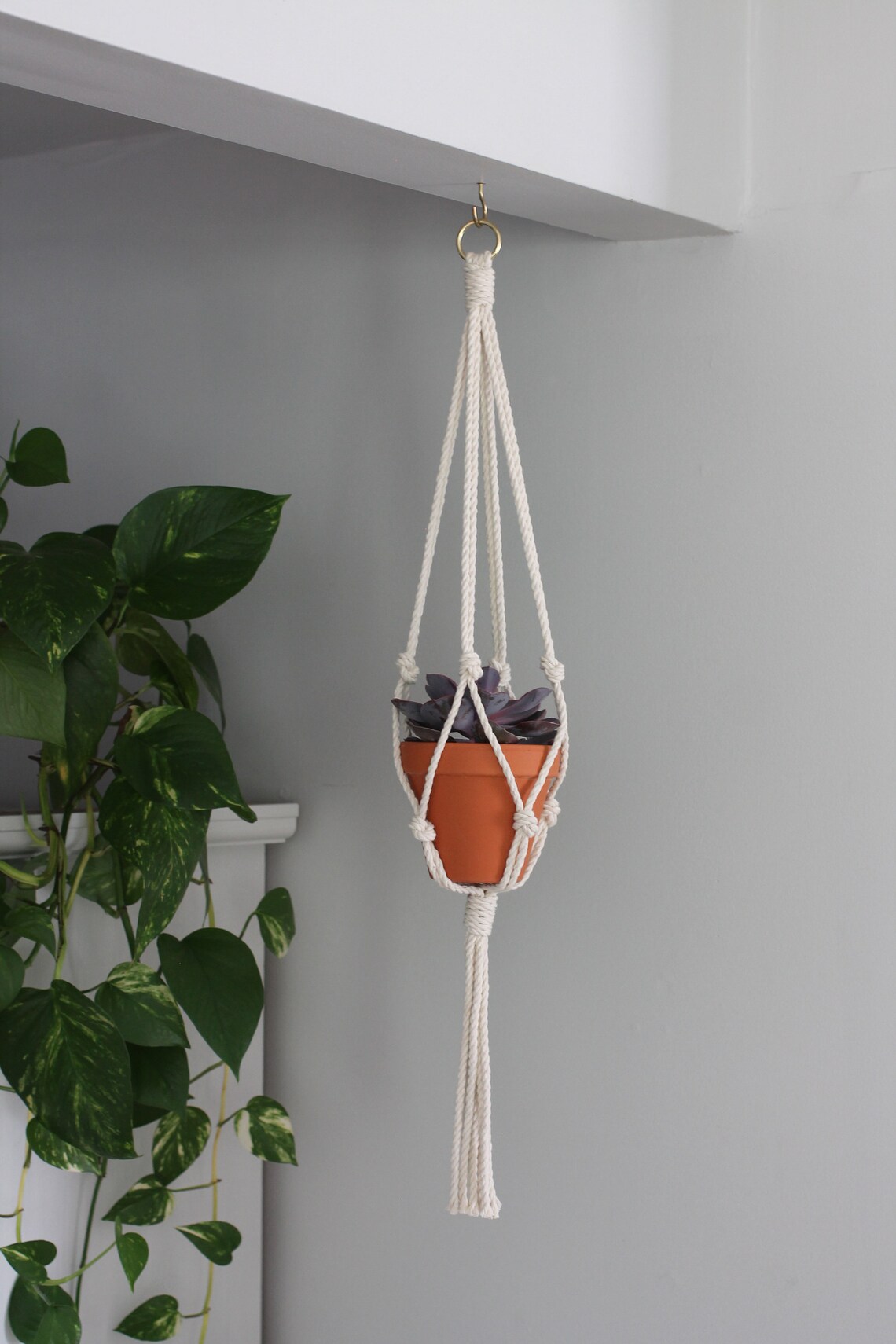 Macrame Ring 1.5 Real Brass Gold Plant Hanger | Etsy