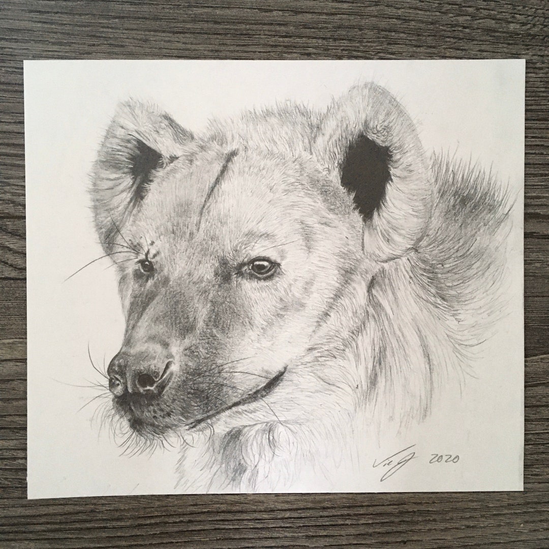 Spotted Hyena Pencil Drawing - Etsy