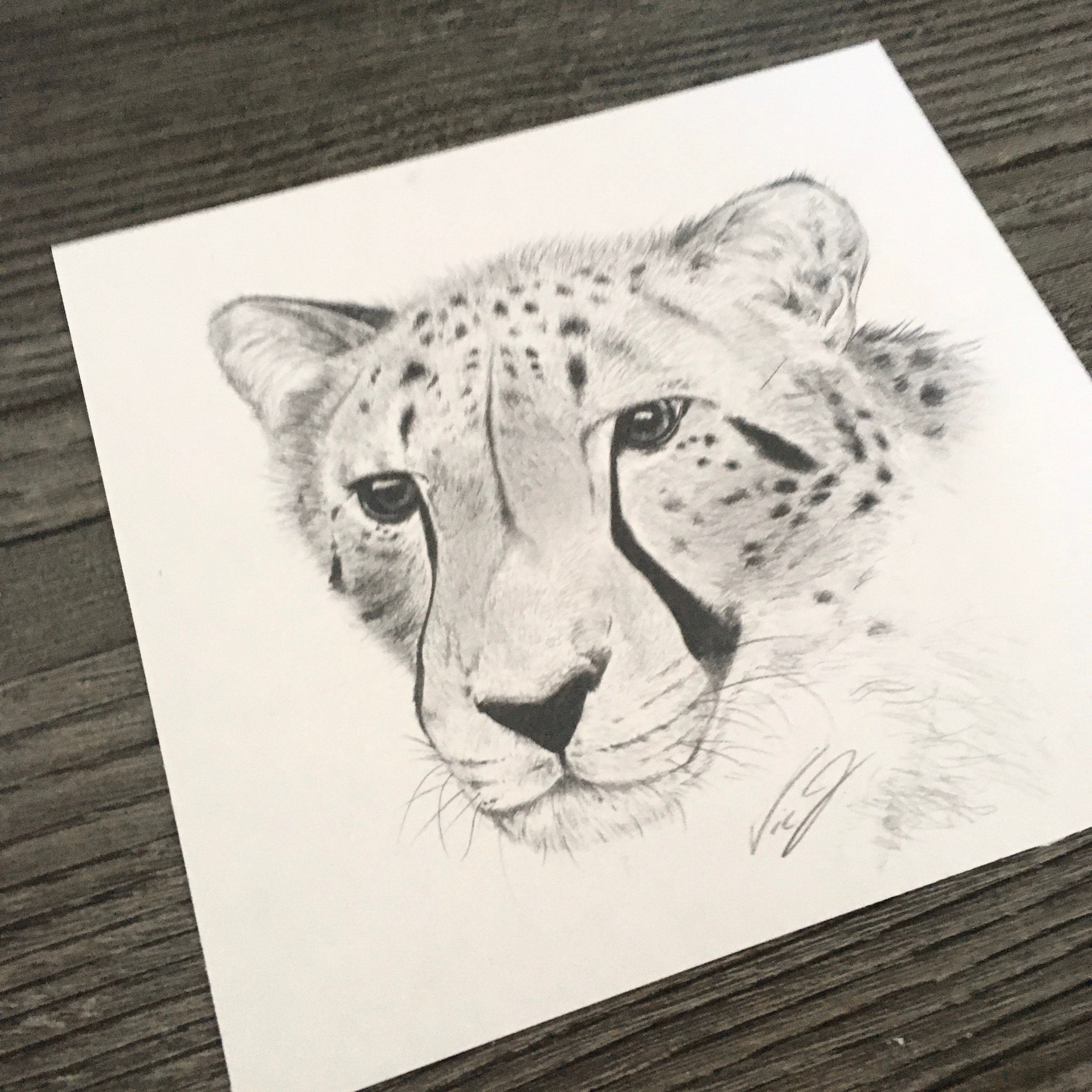 Cheetah Pencil Drawing - Etsy
