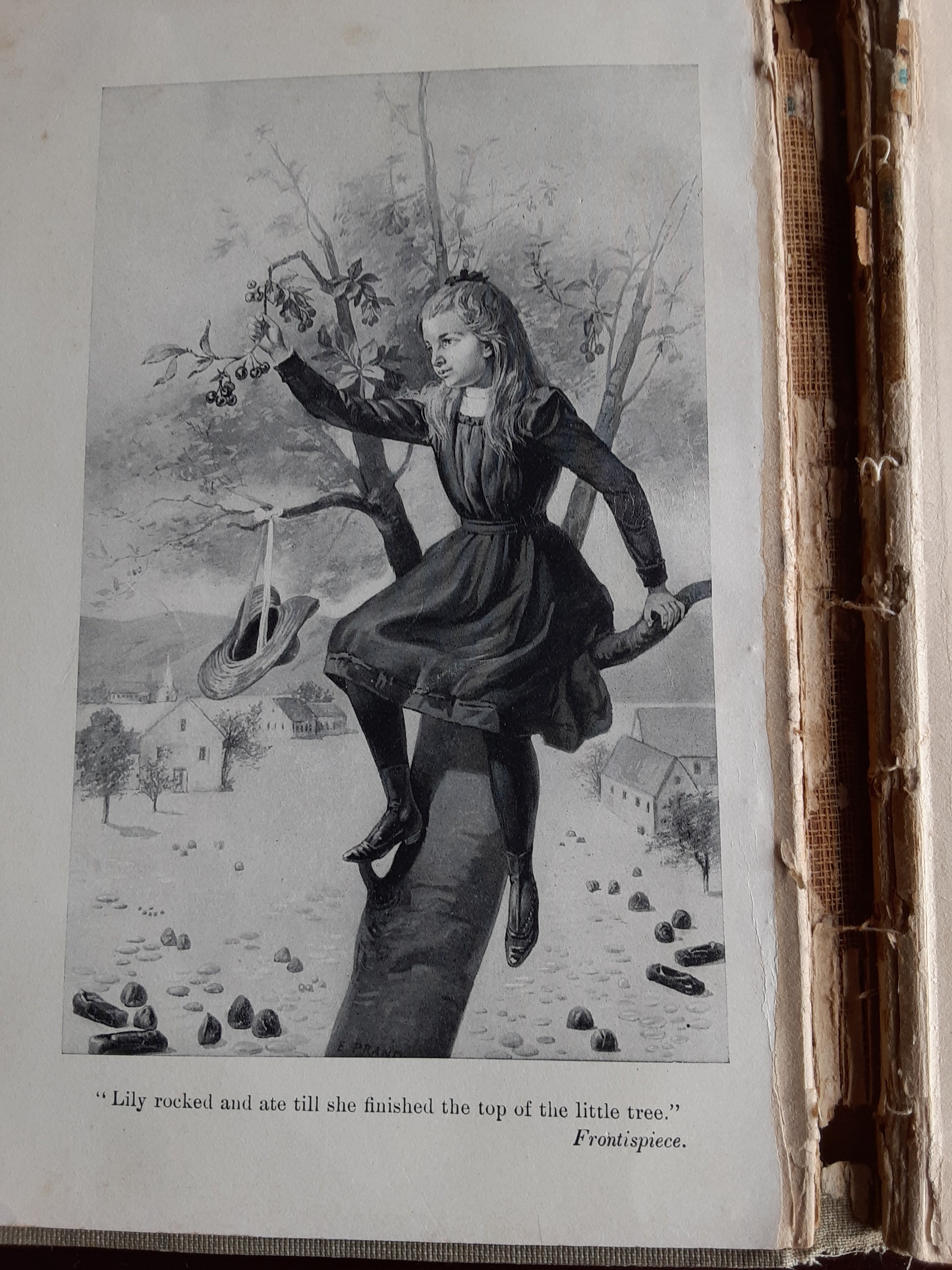 The Candy Country by Louisa May Alcott 1st Ed. Published in 1900 - Etsy