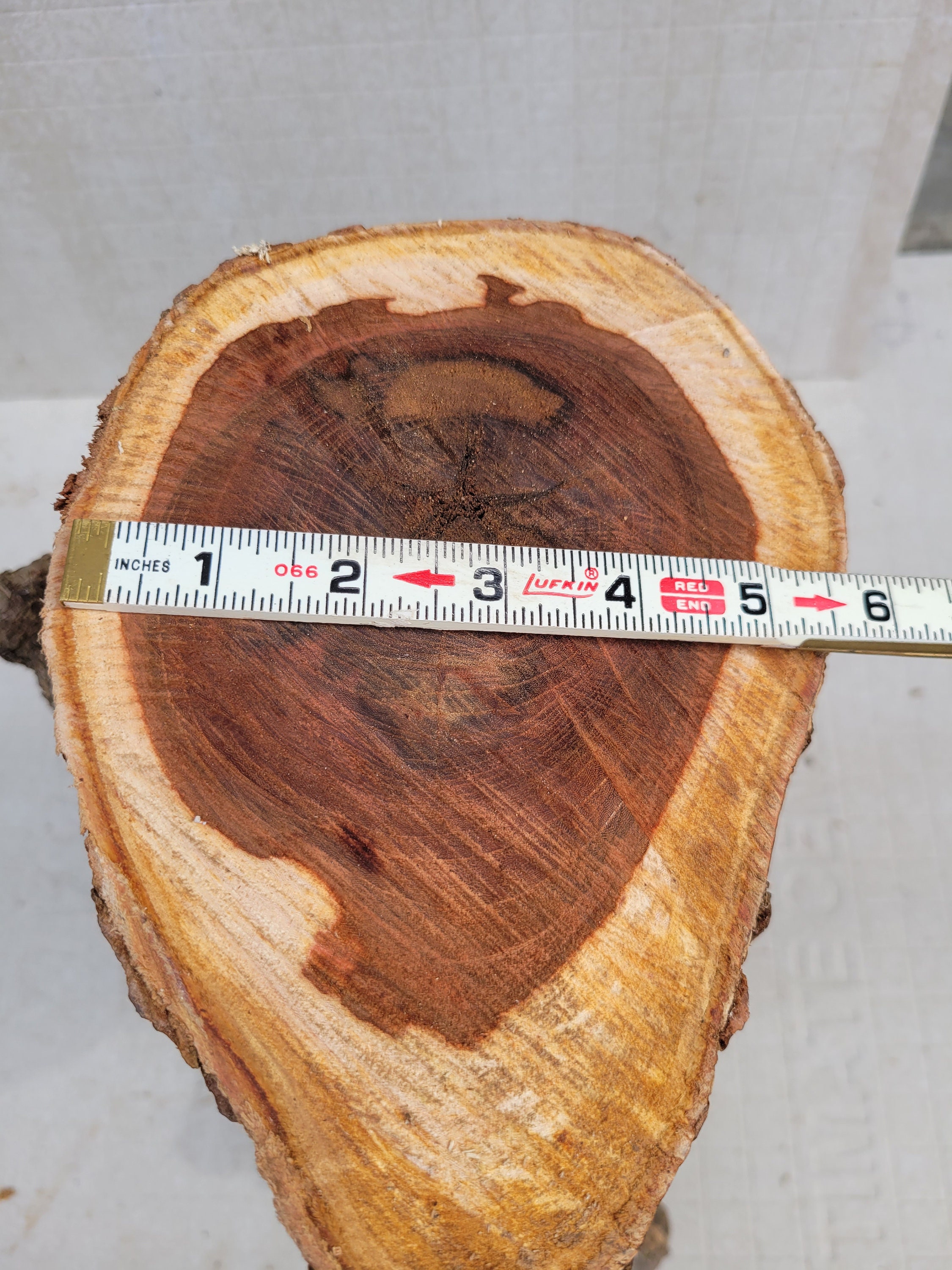 Burled, Fiery Box Elder Log - Etsy