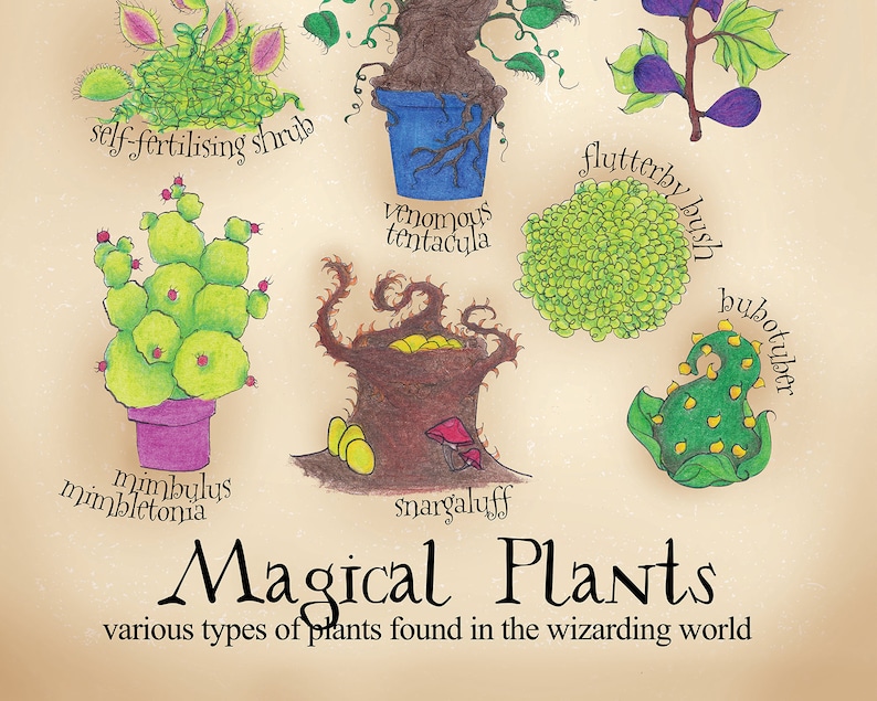 Magical plants Poster Mandrake print Harry Potter | Etsy