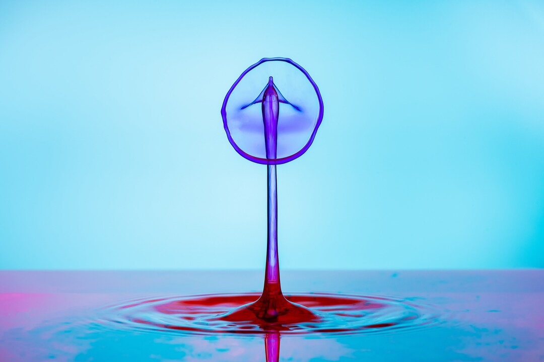 Fine Art Photography | Water Drop Photography | Photography | Photo ...