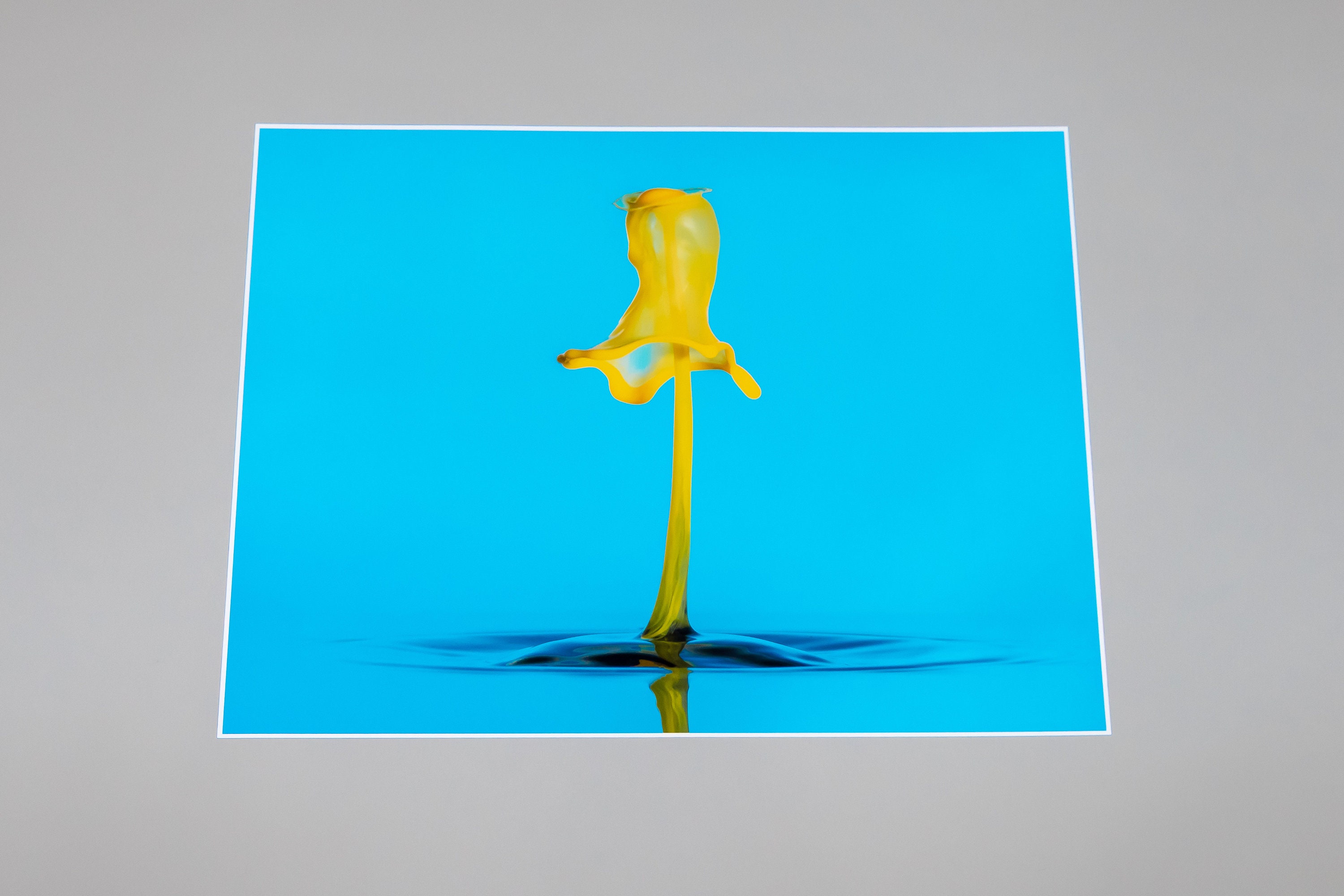 Fine Art Photography Water Drop Photography Photo Print - Etsy