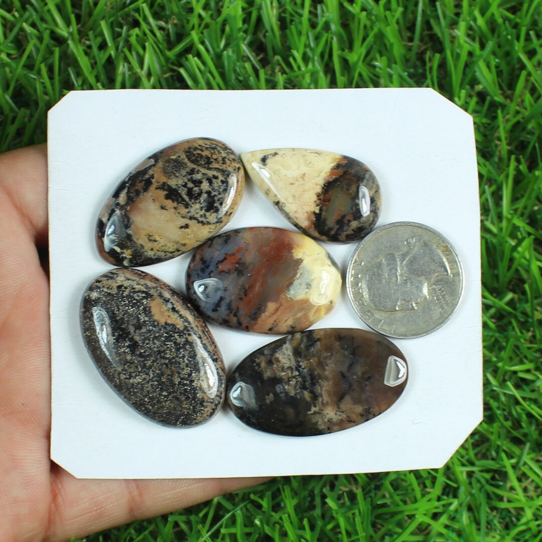 Russian Dendrite Agate Cabochon 5 Pieces 165 Carat Dendrite - Etsy