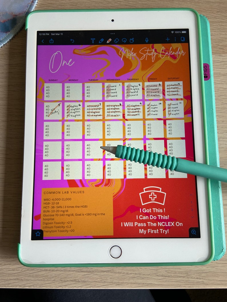 NCLEX Study Calendar- Bright - Etsy