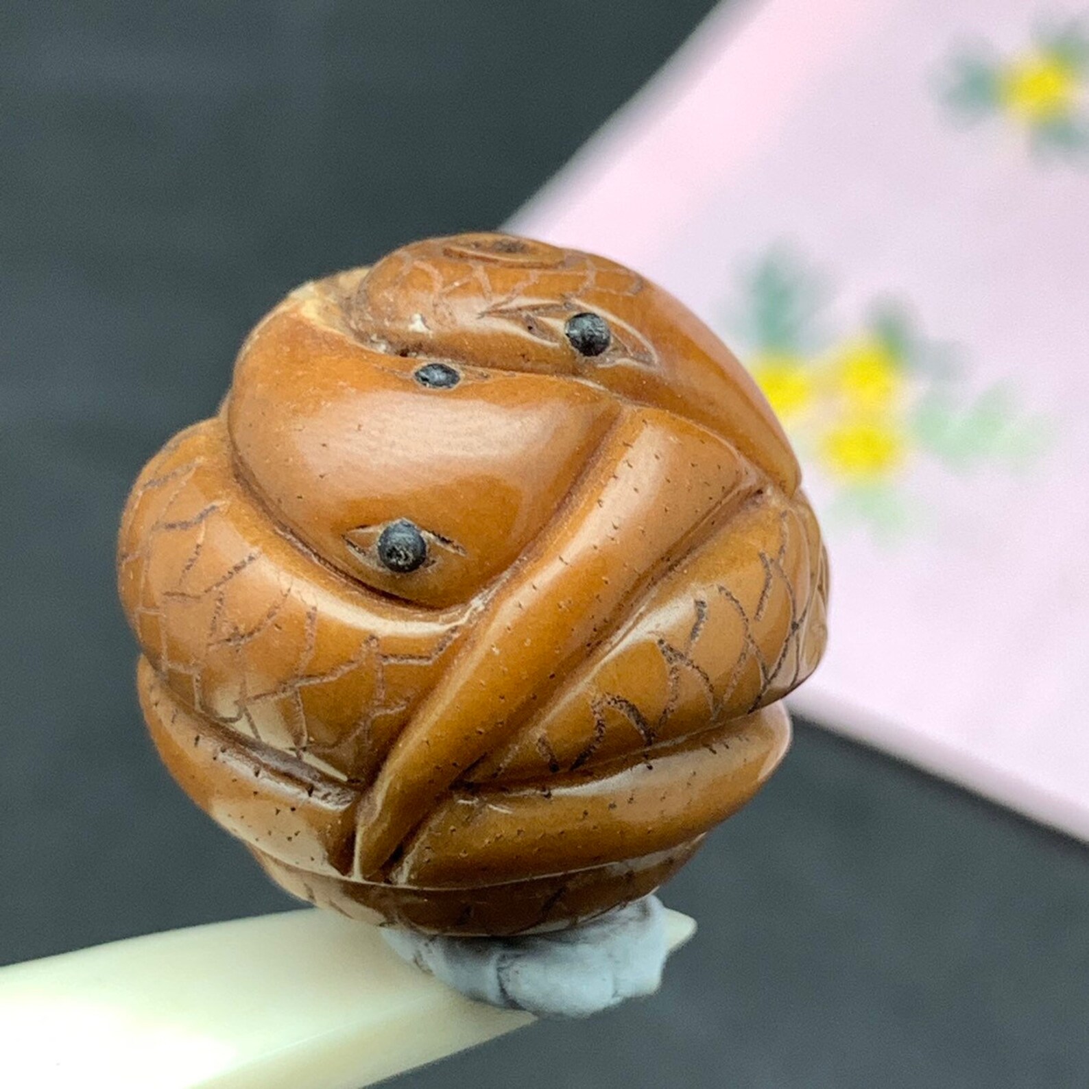 1 Hand Carved Tagua Nut Snake Netsuke Hand Carved Phytelephas - Etsy