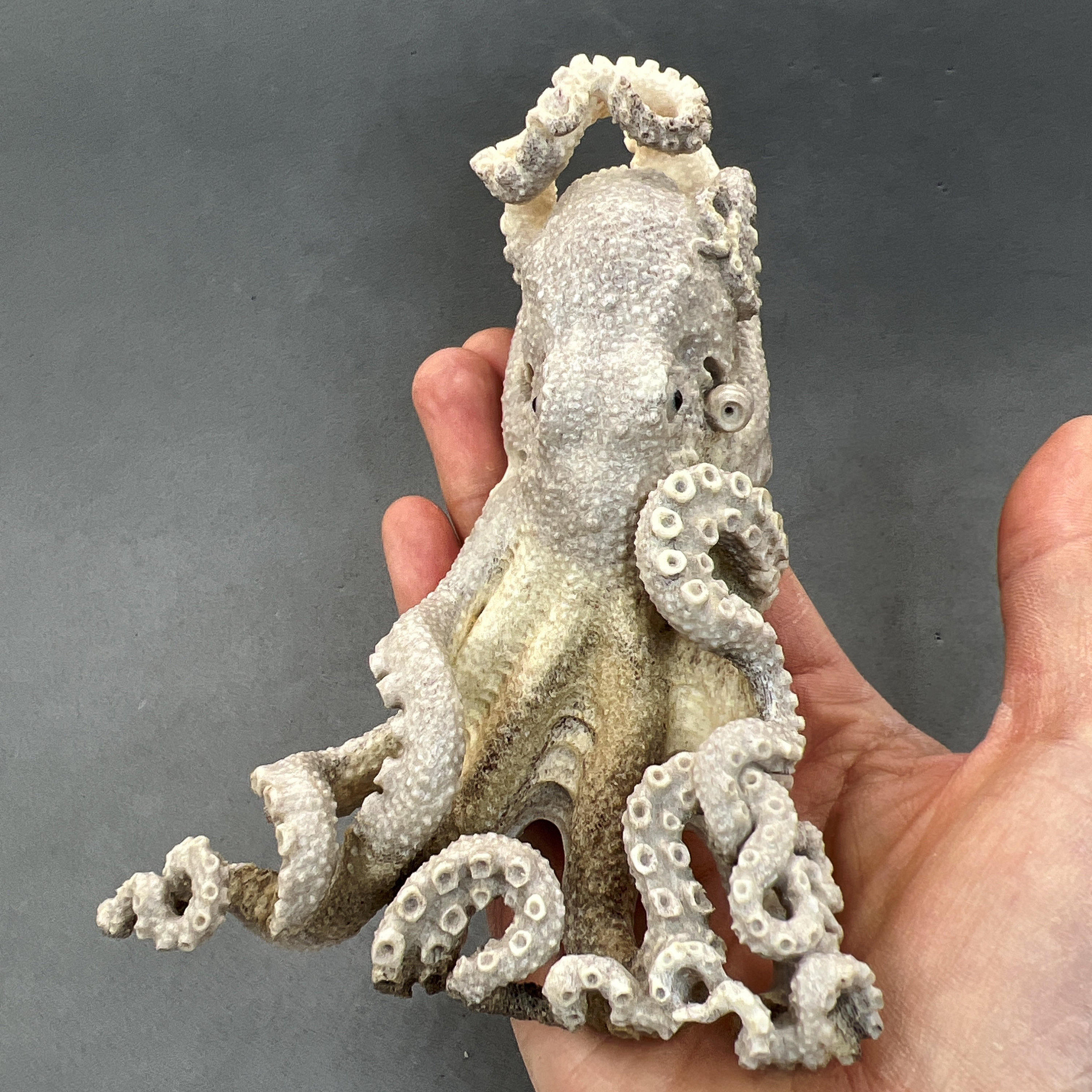 Moose Antler Carving: Hand Carved and Polished of Natural | Etsy