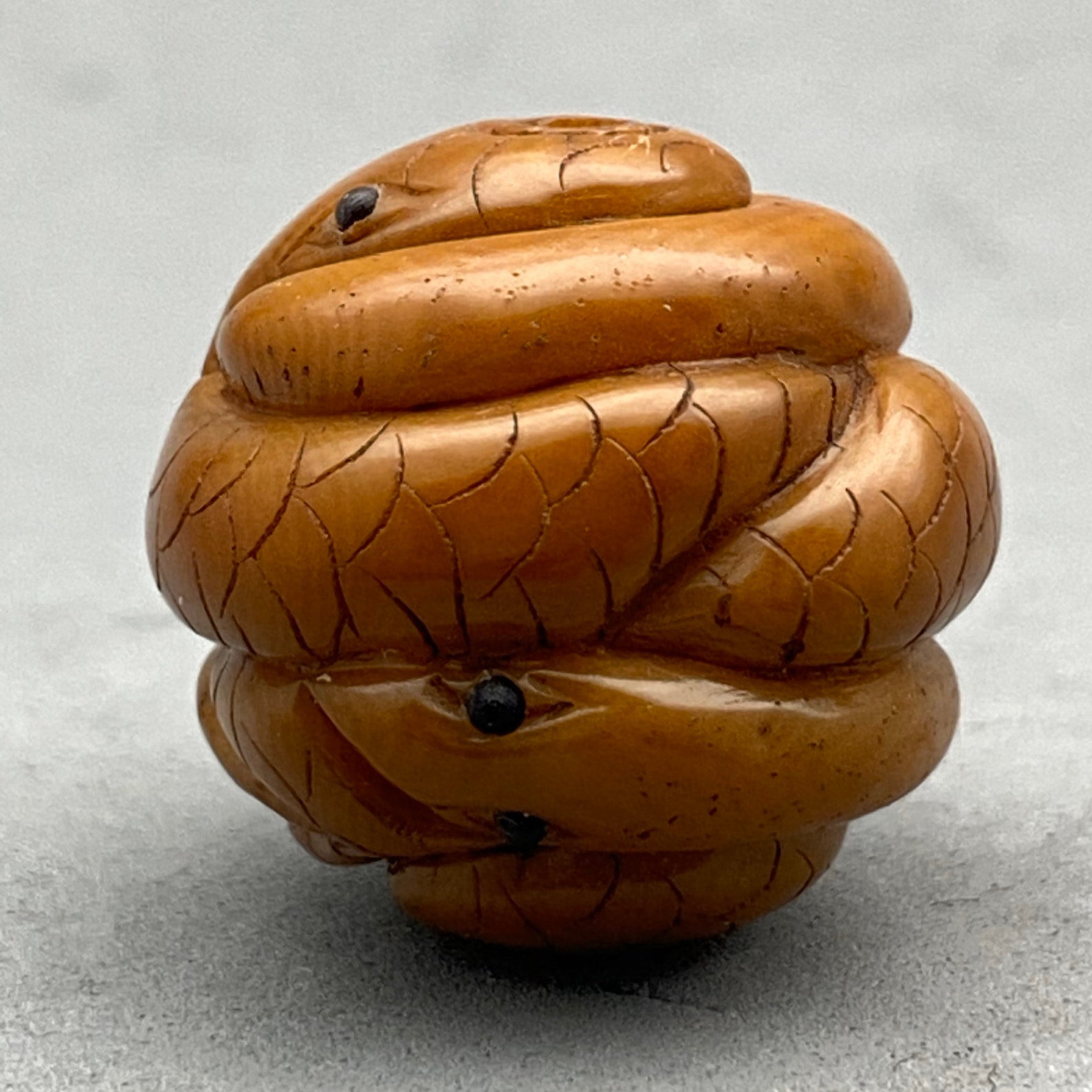 1 Hand Carved Tagua Nut Snake Netsuke Hand Carved Phytelephas - Etsy