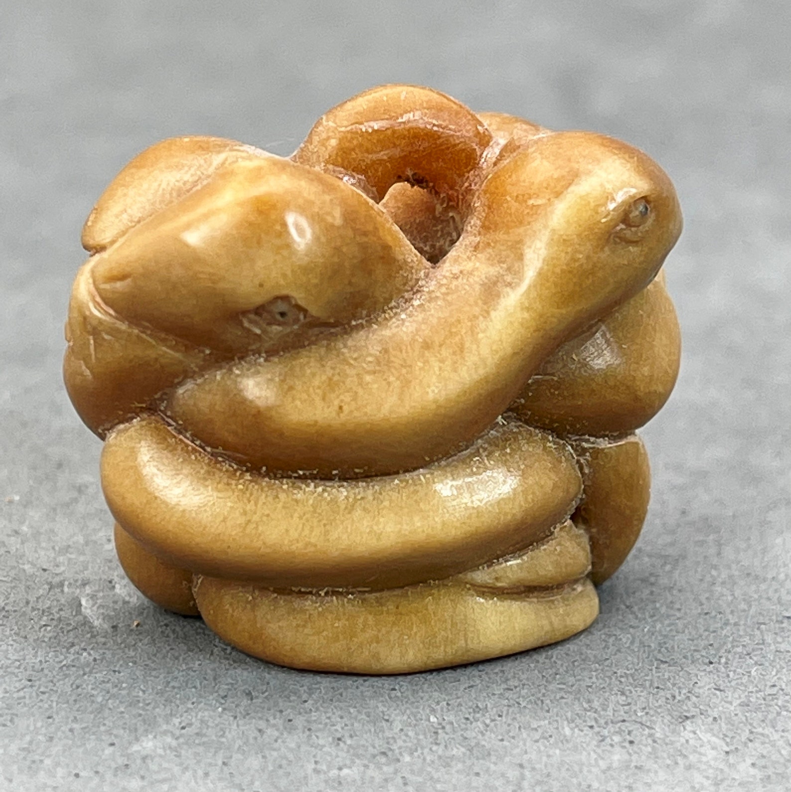 1 Hand Carved Tagua Nut Snake Netsuke, Hand Carved Phytelephas Snake ...