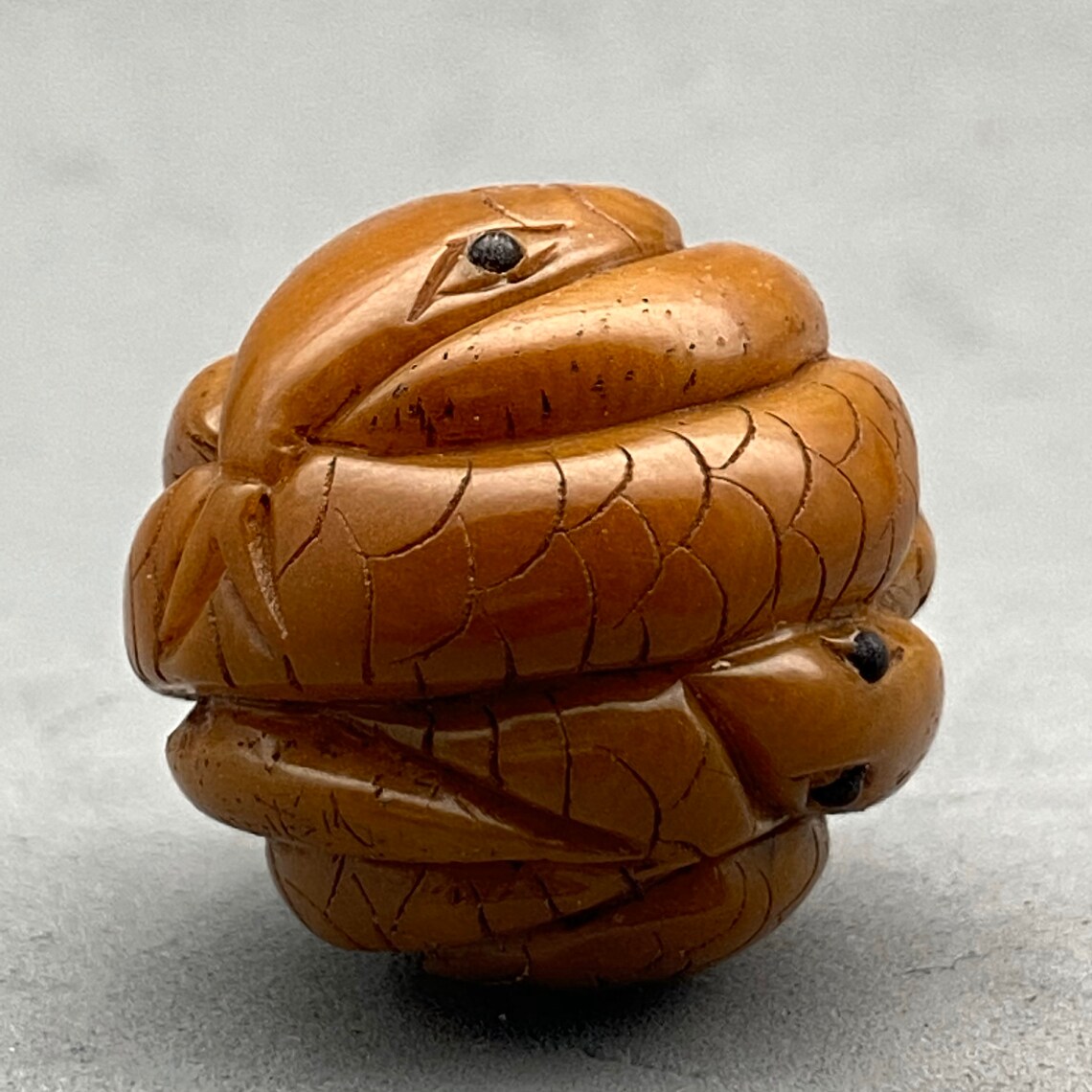 1 Hand Carved Tagua Nut Snake Netsuke, Hand Carved Phytelephas Snake ...
