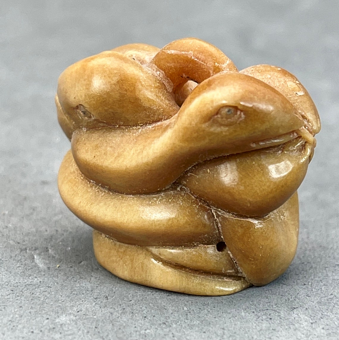 1 Hand Carved Tagua Nut Snake Netsuke, Hand Carved Phytelephas Snake ...
