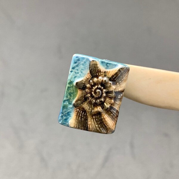 Porcelain Seashell - Etsy
