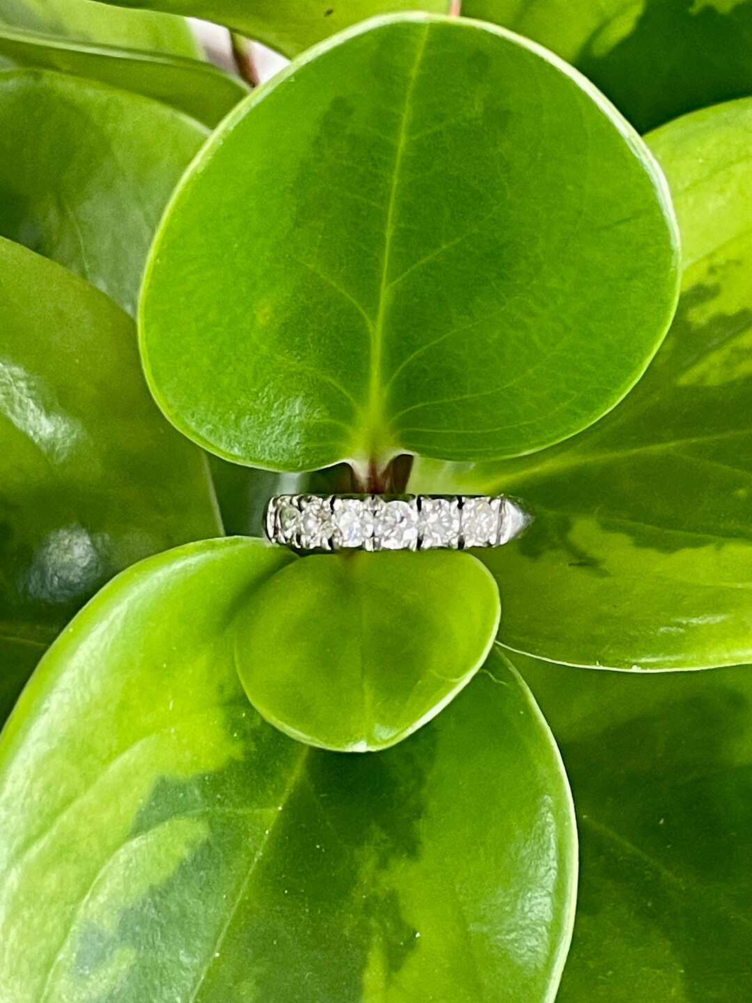 Palladium 6-stone Diamond Ring - Etsy