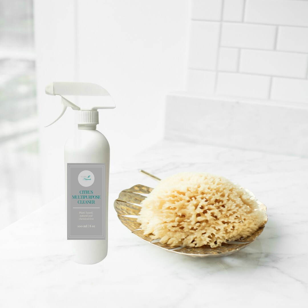 Citrus Multi-Purpose Cleaner Natural Cleaner 100% Natural - Etsy 日本