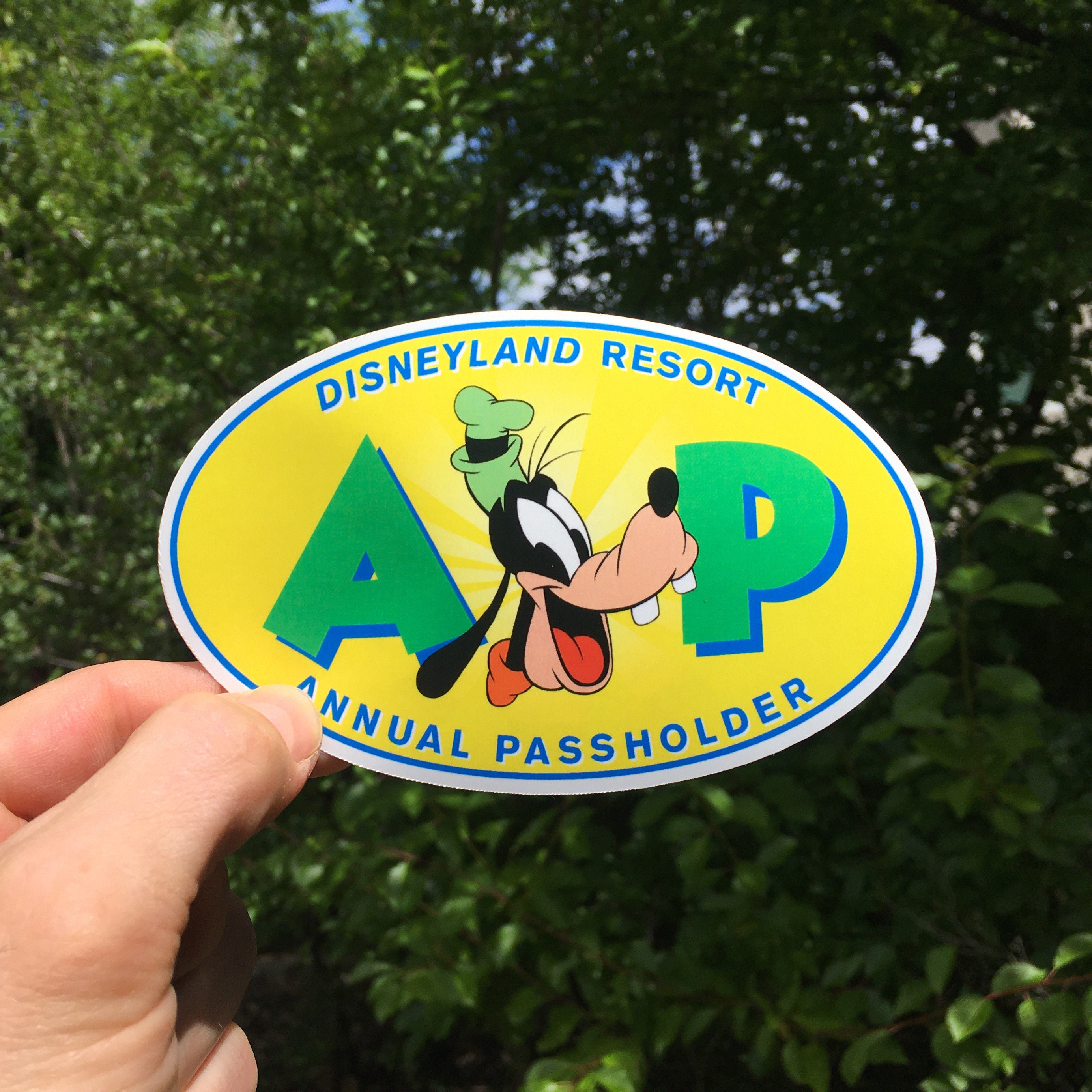 Goofy Annual Passholder Sticker & Magnet - Etsy