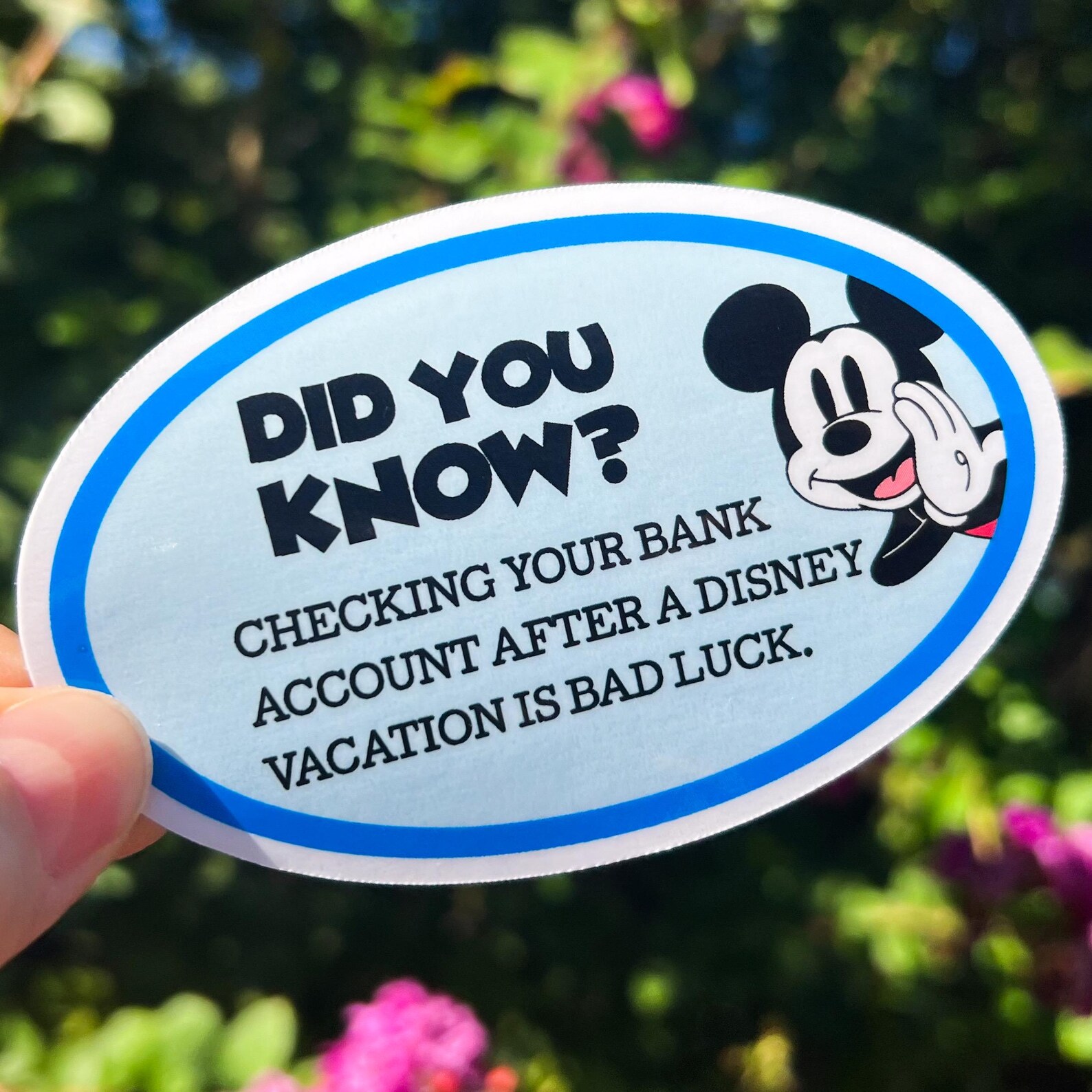 Did You Know? Checking Your Bank Account After A Disney Vacation is Bad ...