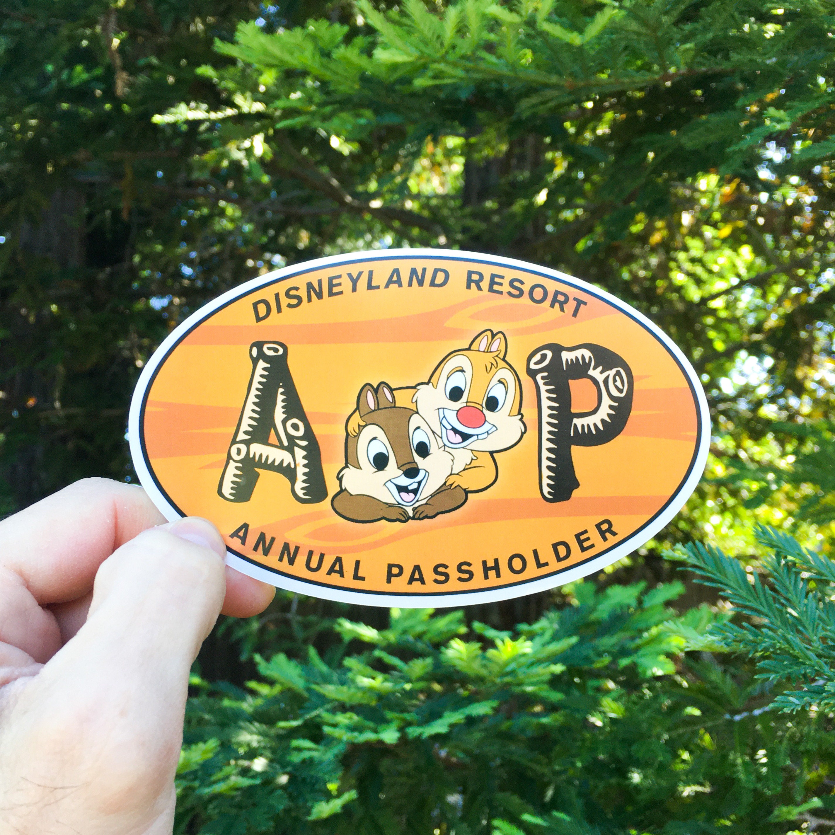 Chip and Dale Annual Passholder Sticker & Magnet - Etsy