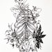 Hanahaki; Ribcage Drawing, Anatomy, Anatomical, Bones, Flowers, Botany ...