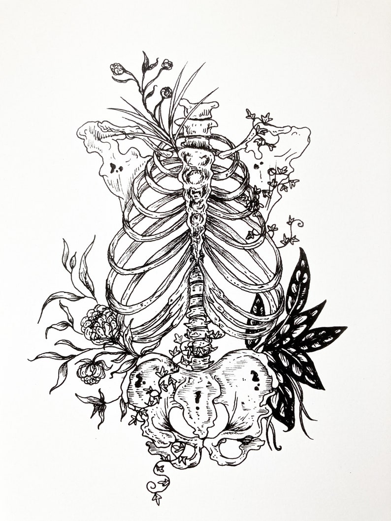 Hanahaki; Ribcage Drawing, Anatomy, Anatomical, Bones, Flowers, Botany ...