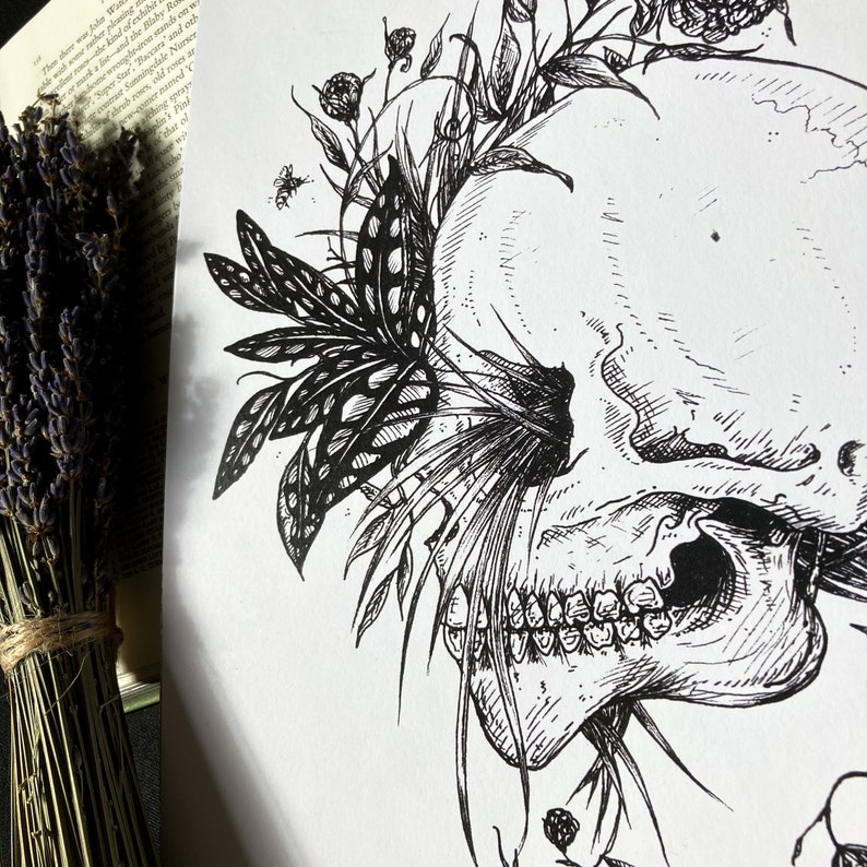 Eyelashes; Skull Drawing, Hand Drawn Print, Skeleton, Botanical, Leafy ...