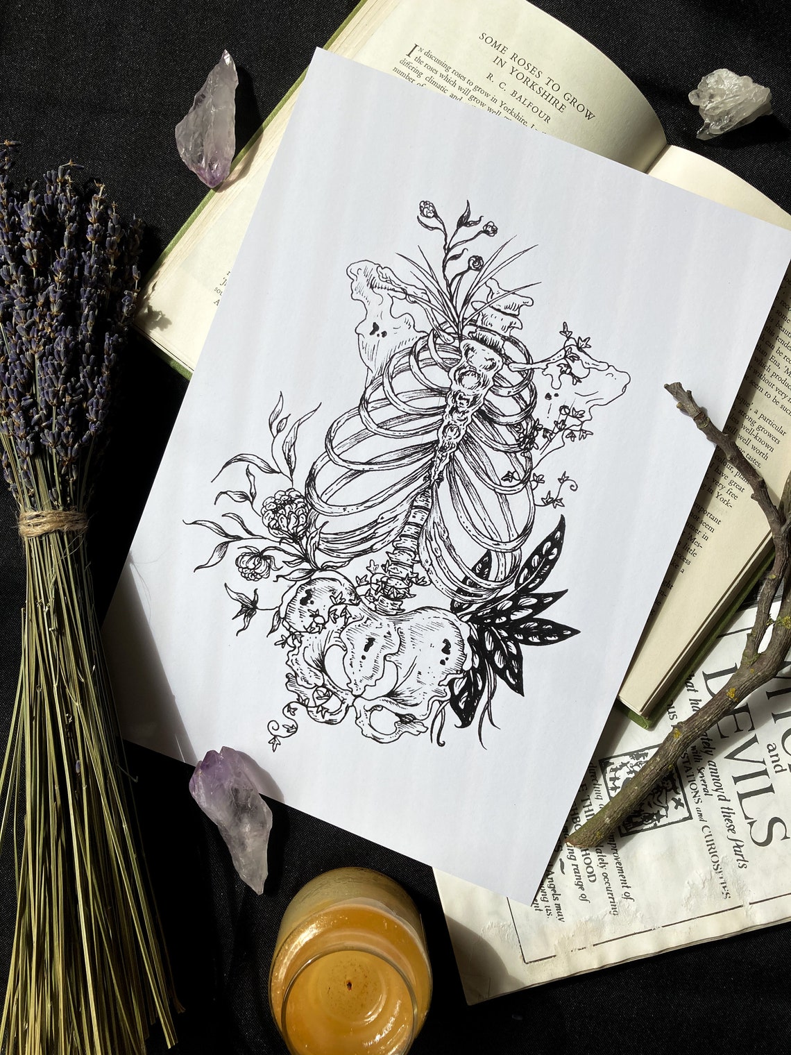 Hanahaki; Ribcage Drawing, Anatomy, Anatomical, Bones, Flowers, Botany ...