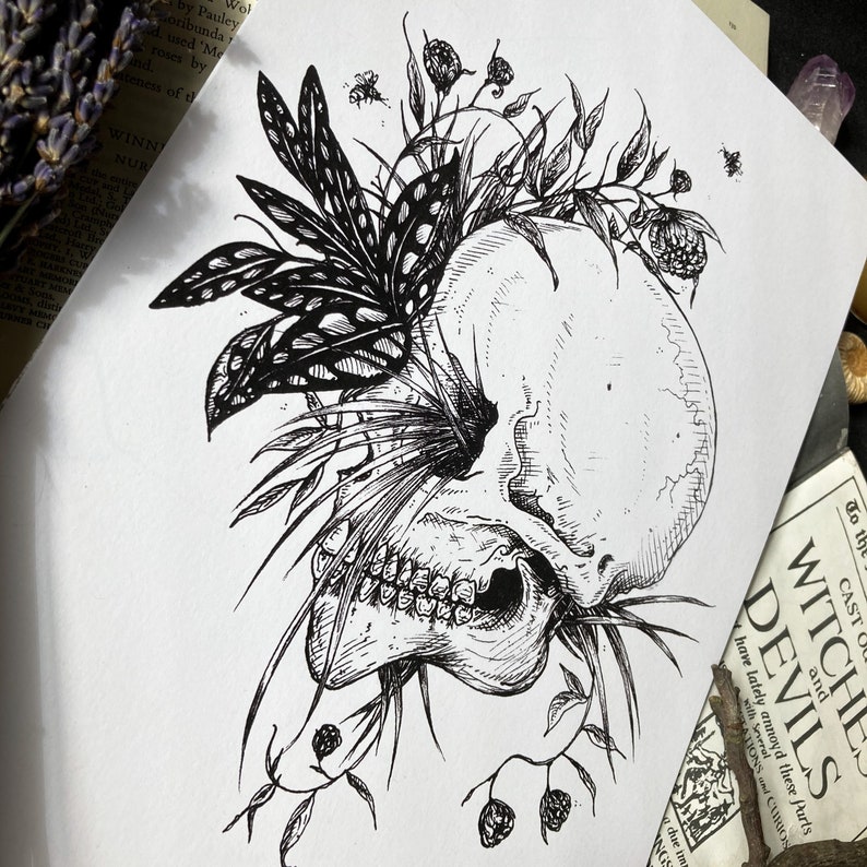 Eyelashes; Skull Drawing, Hand Drawn Print, Skeleton, Botanical, Leafy ...