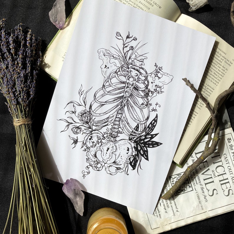 Hanahaki; Ribcage Drawing, Anatomy, Anatomical, Bones, Flowers, Botany ...