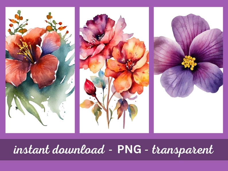 Clipart Wild Flowers, Colorful Watercolor Flowers, Png Files With ...