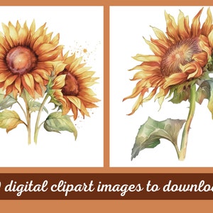 Yellow Sunflower Clipart Designs, 20 Digital Floral Images, Instant ...