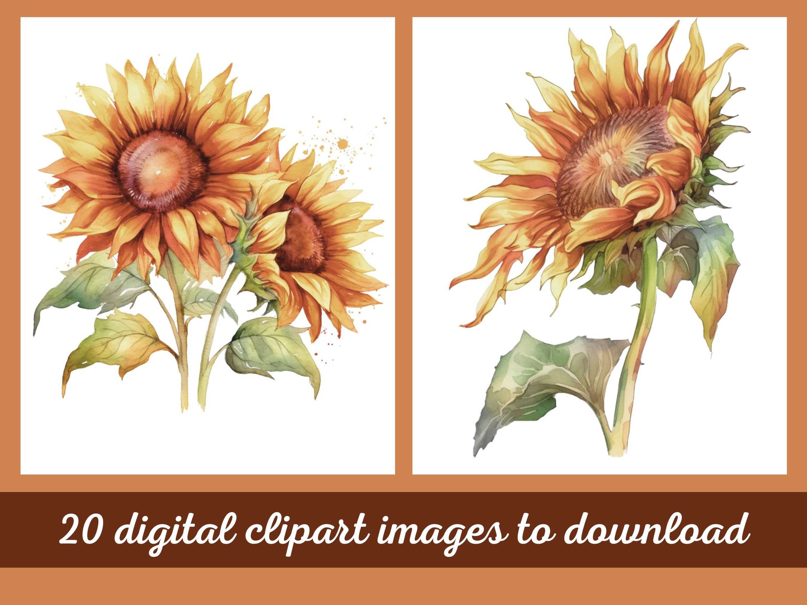 Yellow Sunflower Clipart Designs, 20 Digital Floral Images, Instant ...