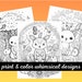 Whimsical Animals and Scenes Fantasy Coloring Book 50 - Etsy