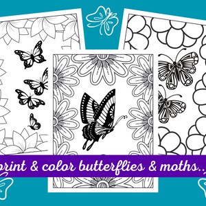 Butterfly Coloring Pages: Blooms, Bees, Bugs - 50 Printable Sheets (PDF ...