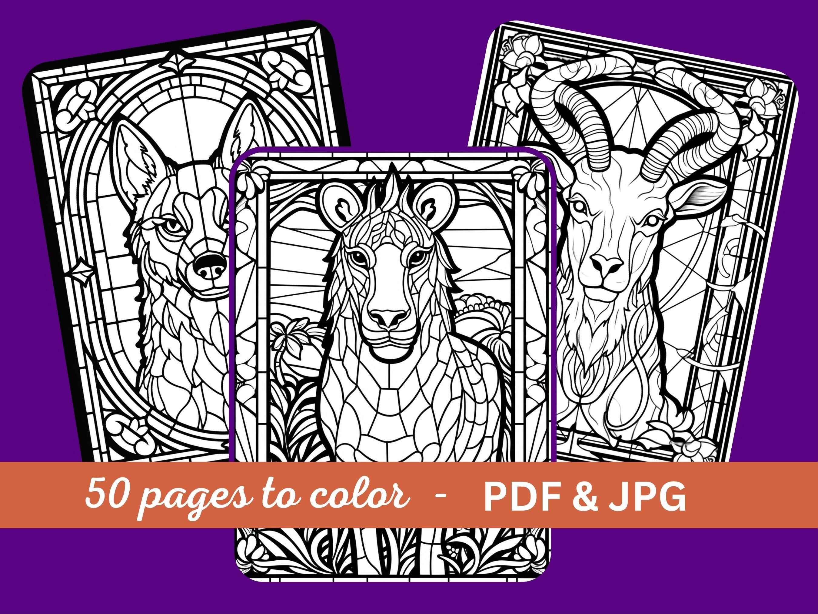Stained Glass Animal Coloring Book: 50 Printable Pages (PDF & JPG) - Etsy