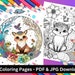 Whimsical Animals and Scenes Fantasy Coloring Book 50 - Etsy