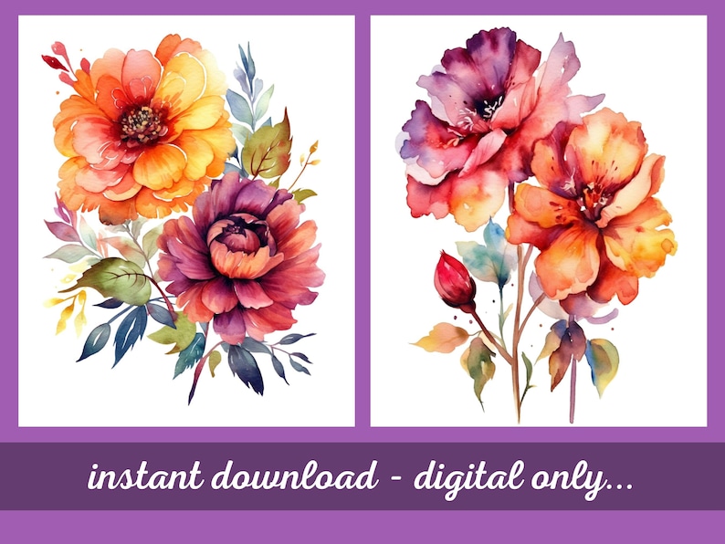 Clipart Wild Flowers, Colorful Watercolor Flowers, Png Files With ...