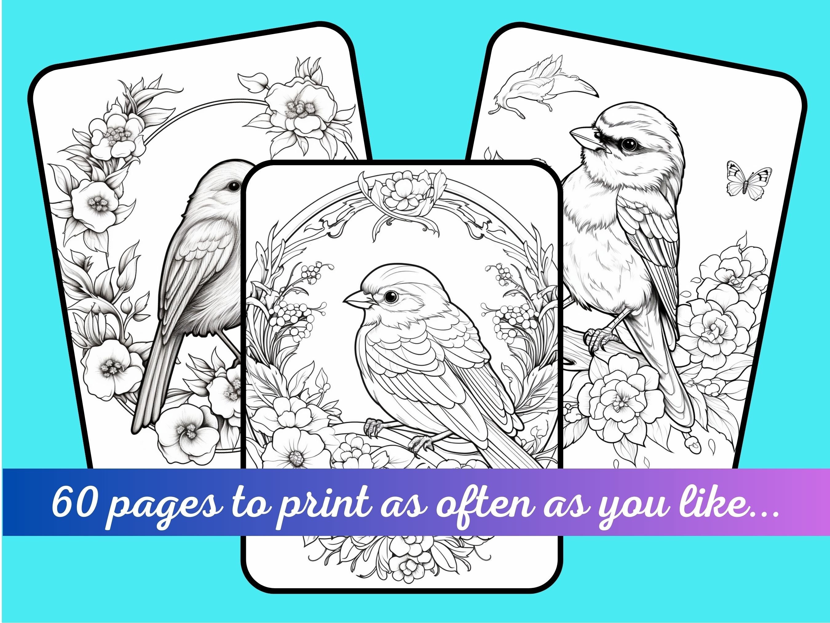 Birds & Flowers Coloring Pages Adult Coloring Book 60 Digital Coloring ...