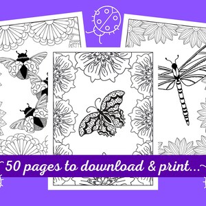 Butterfly Coloring Pages: Blooms, Bees, Bugs - 50 Printable Sheets (PDF ...