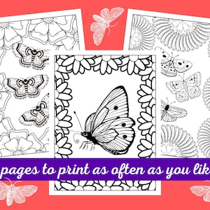 Butterfly Coloring Pages: Blooms, Bees, Bugs - 50 Printable Sheets (PDF ...